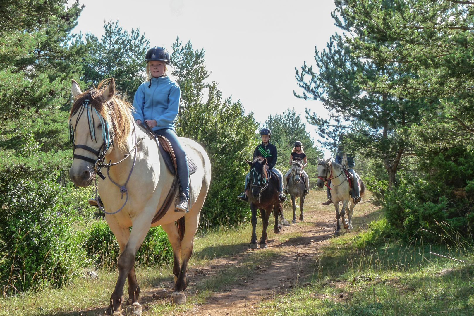 Chevaux au vent | Balades - Chevaux au vent